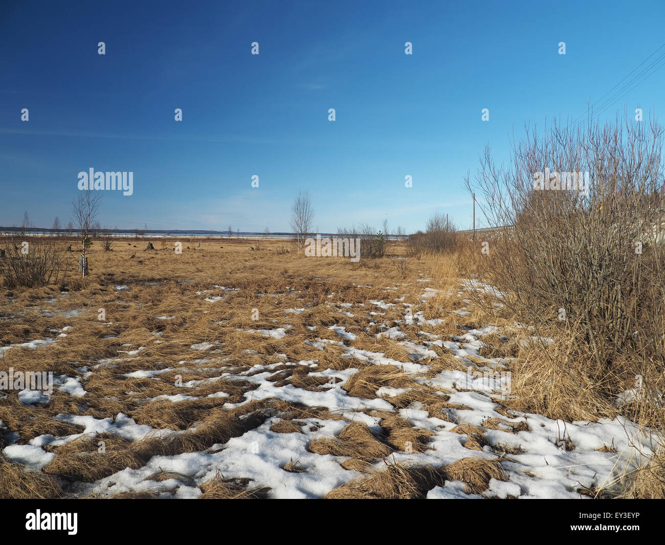field in early spring Stock Photo - Alamy
