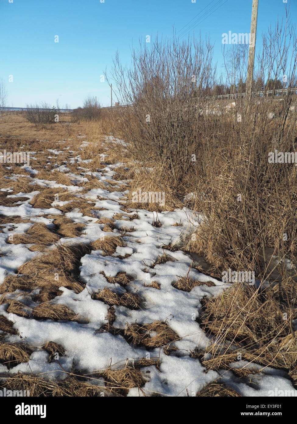 field in early spring Stock Photo - Alamy