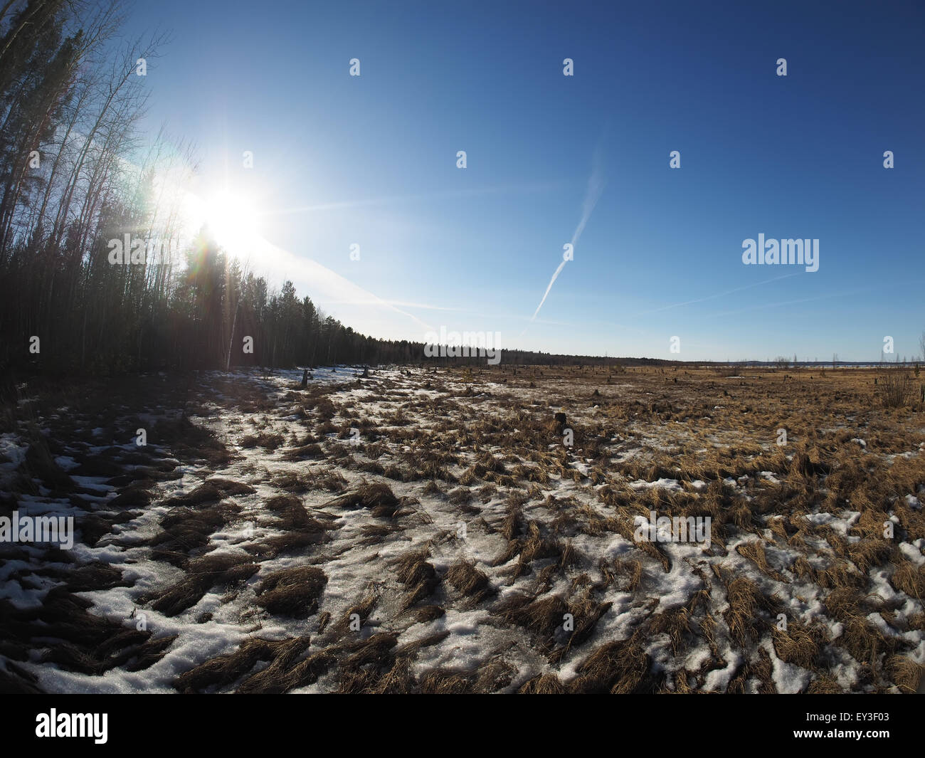field in early spring Stock Photo - Alamy