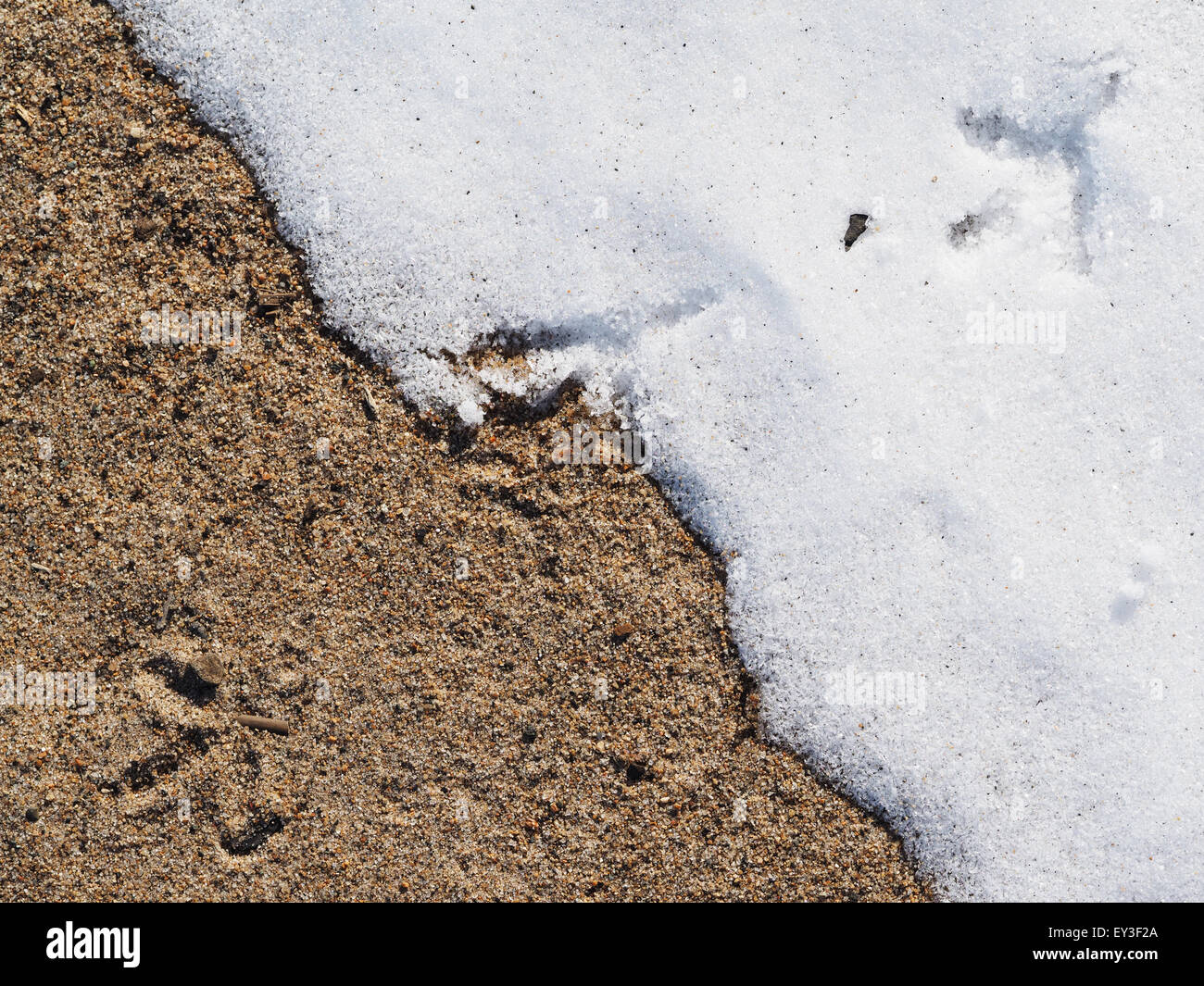 Bird leaving track hi-res stock photography and images - Alamy