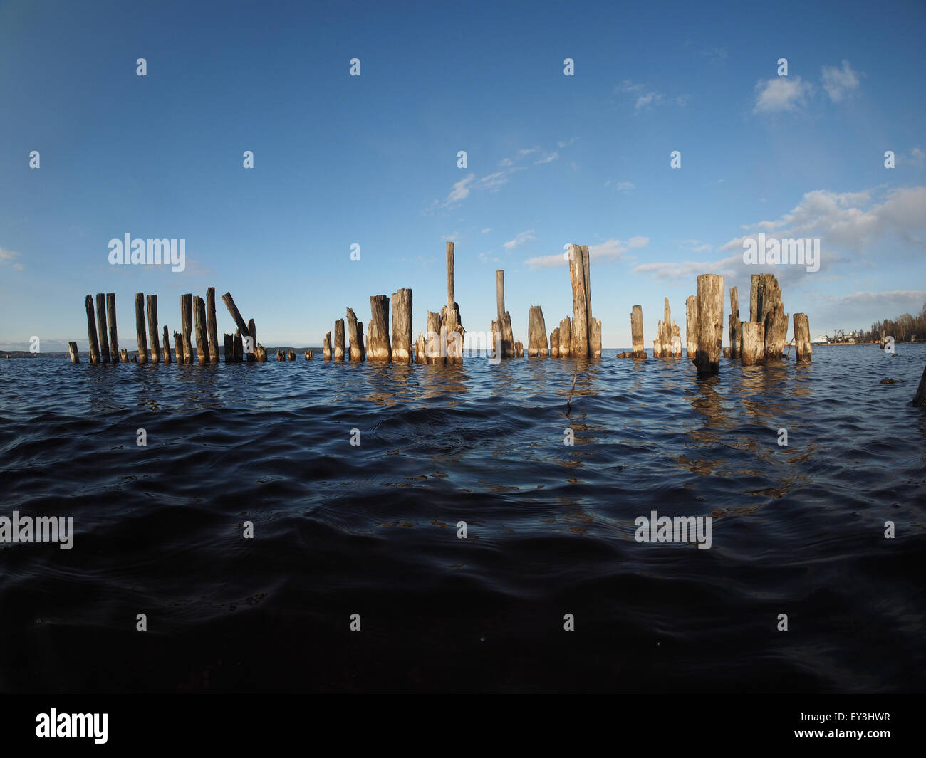 Old piles in lake hi-res stock photography and images - Alamy