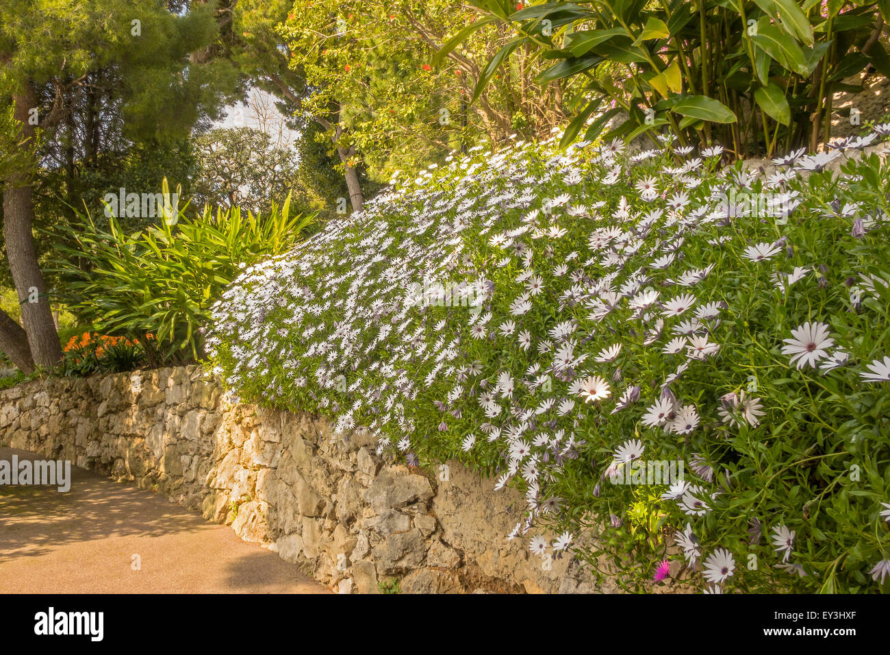 Colourful Spring Gardens Monte Carlo Monaco Stock Photo - Alamy