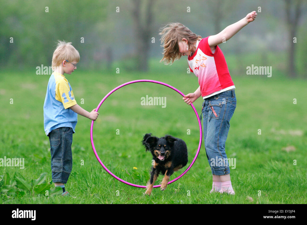 Animal jumping through hoop hi-res stock photography and images - Alamy