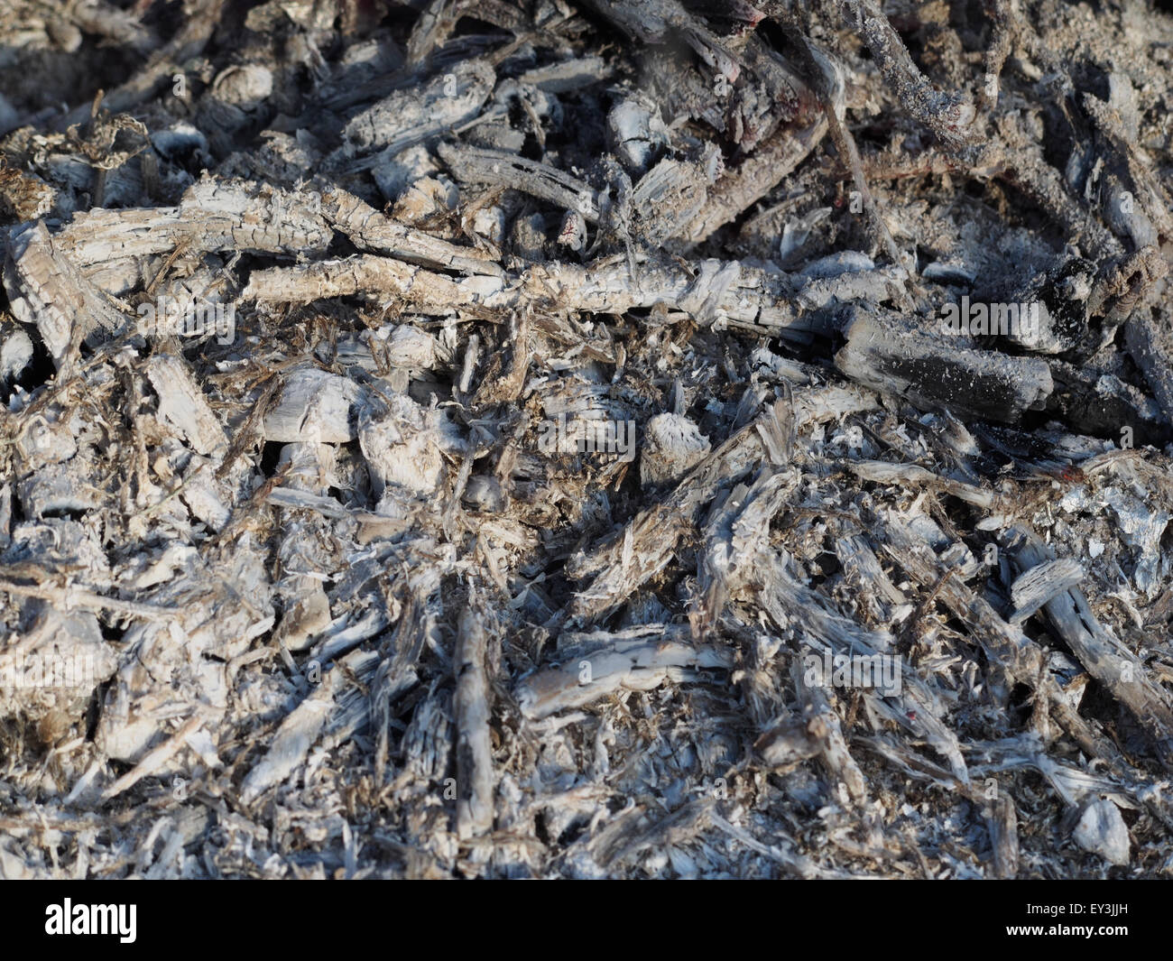 Ash ellipse hi-res stock photography and images - Alamy