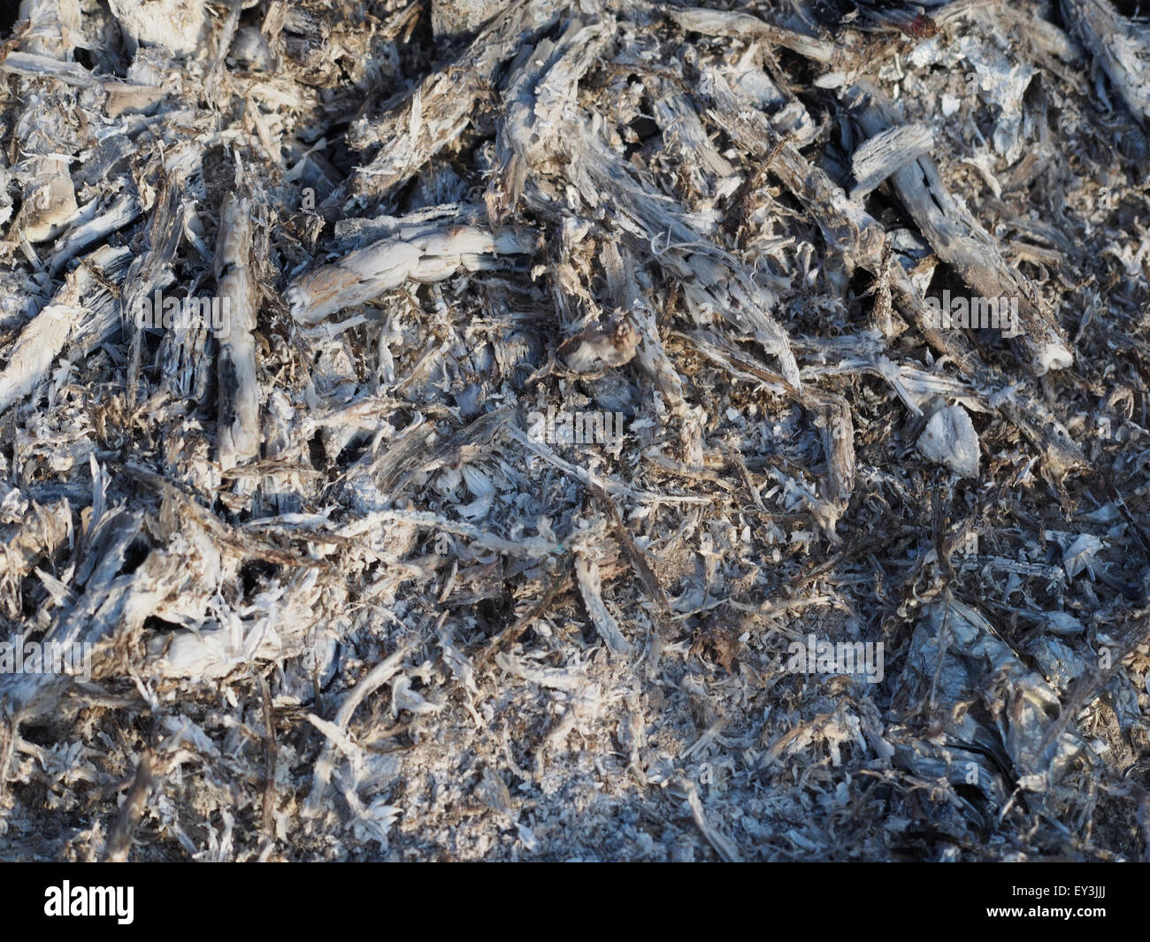 Ash ellipse hi-res stock photography and images - Alamy