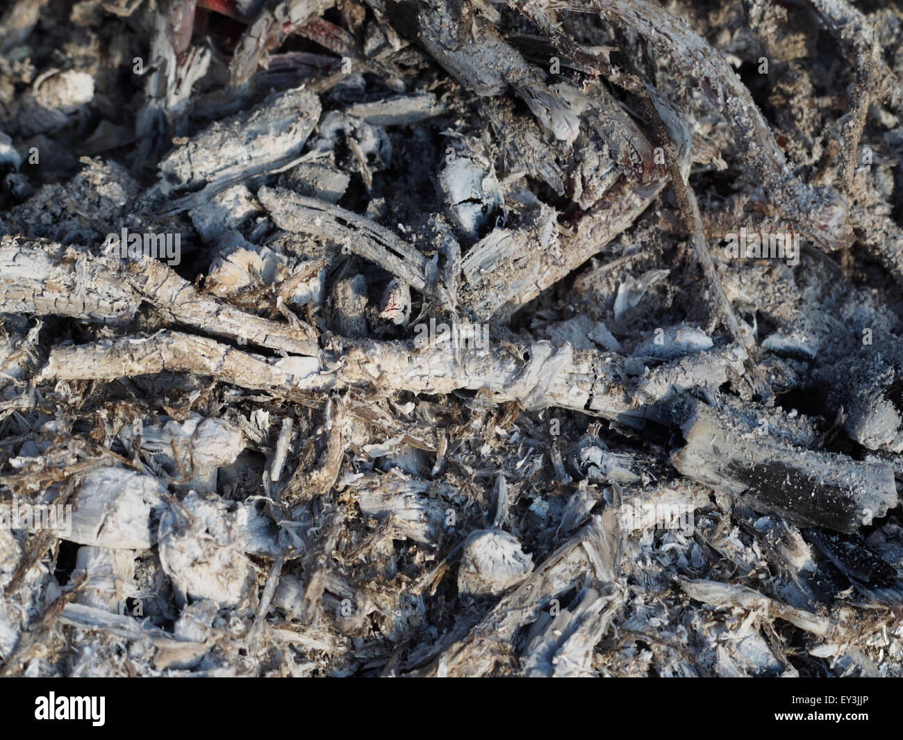 Ash ellipse hi-res stock photography and images - Alamy