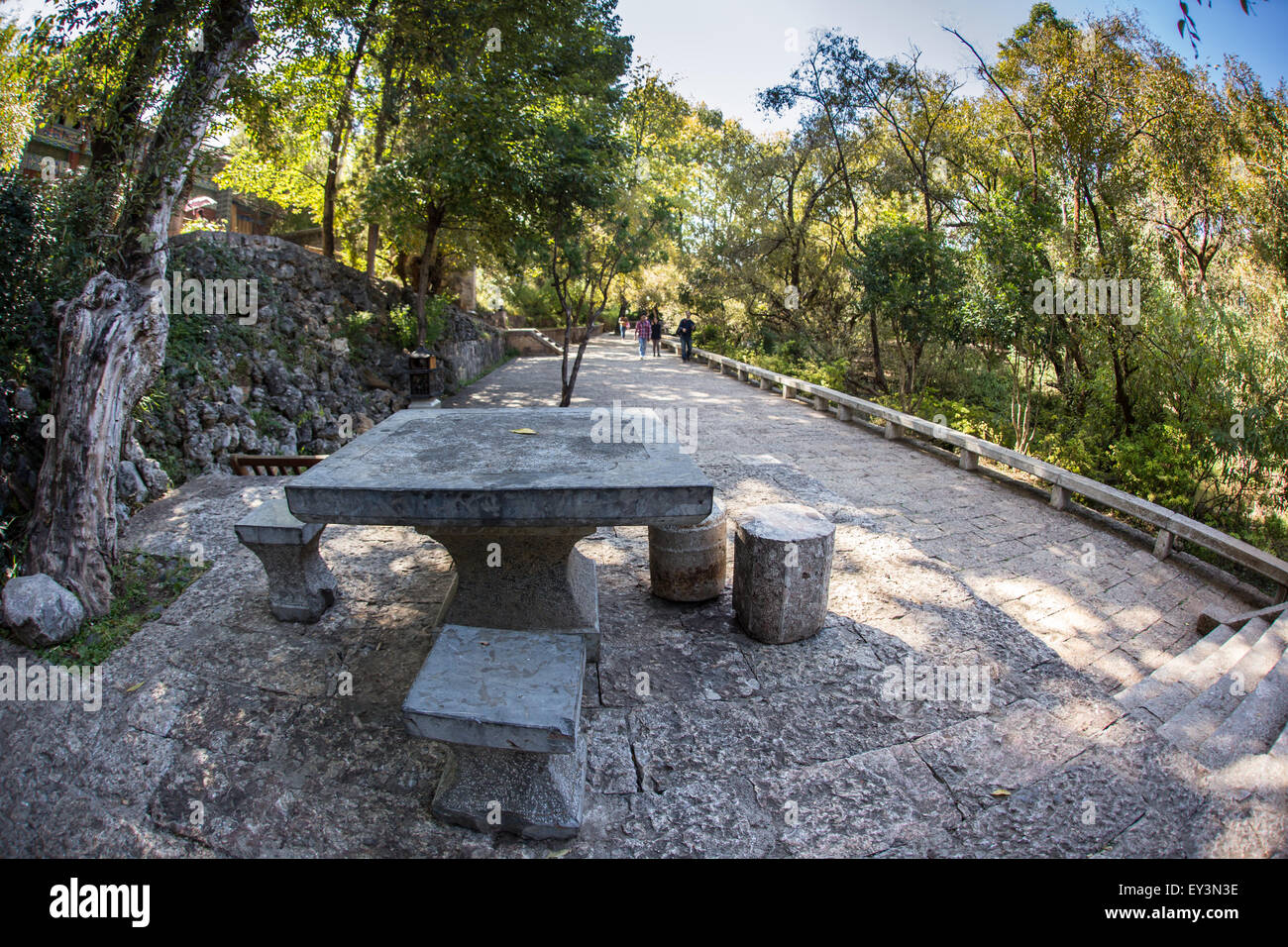 Beautiful Chinese garden with a pond and flags Stock Photo - Alamy
