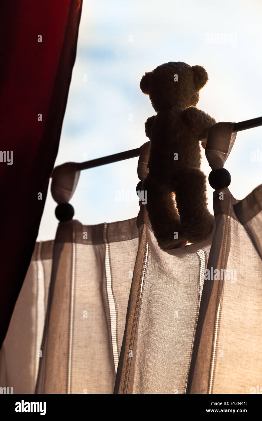 Teddy Look Out of a Window - Back view of a teddy bear that stand at ...