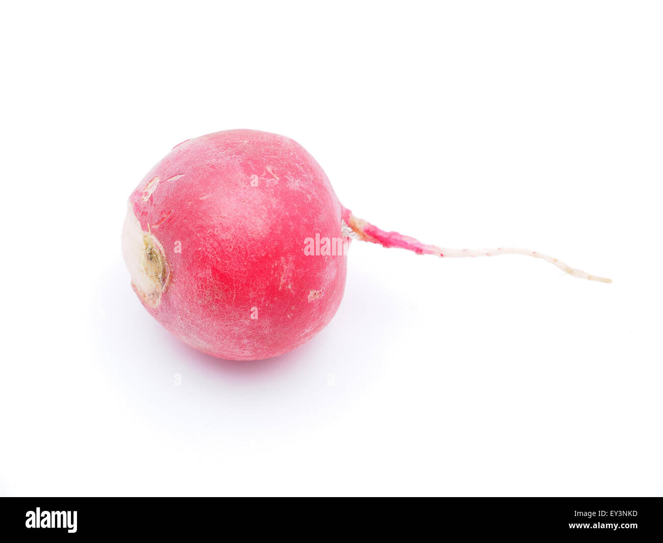 Fresh long radishes on Cut Out Stock Images & Pictures - Alamy