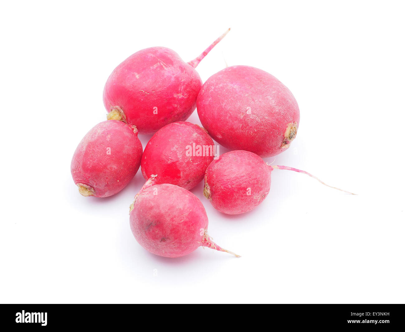 radishes on a white background Stock Photo - Alamy