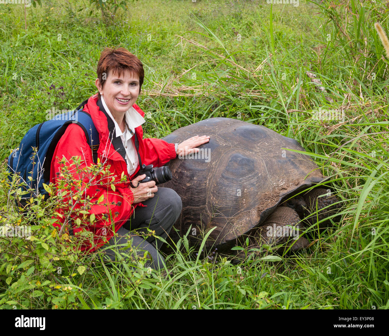 Ecuador, Galápagos Islands, Highlands of Isla Santa Cruz, meeting a ...