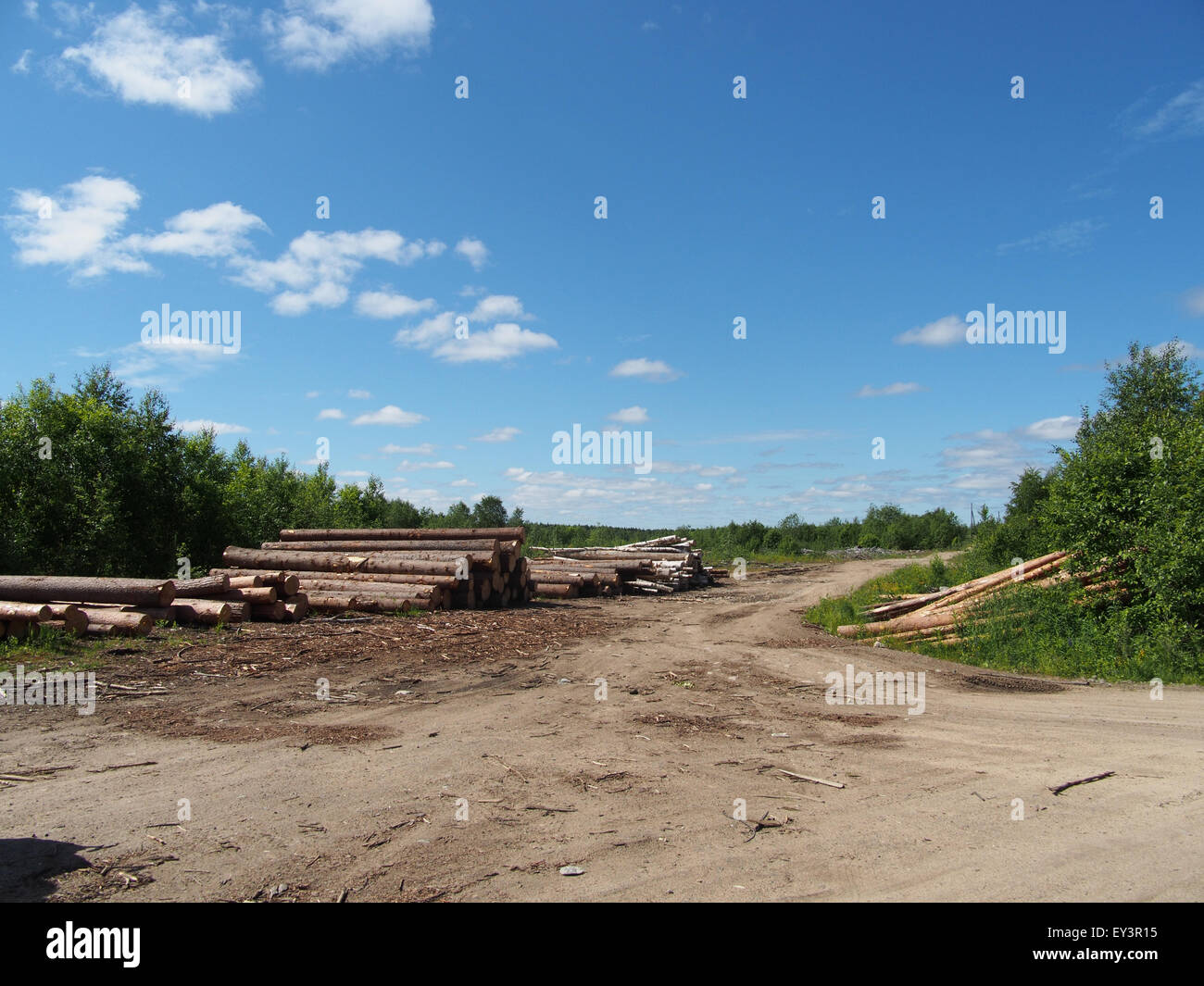 logs off road Stock Photo - Alamy