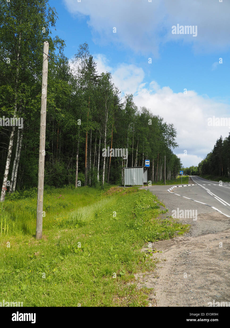 bus stop in the forest Stock Photo - Alamy