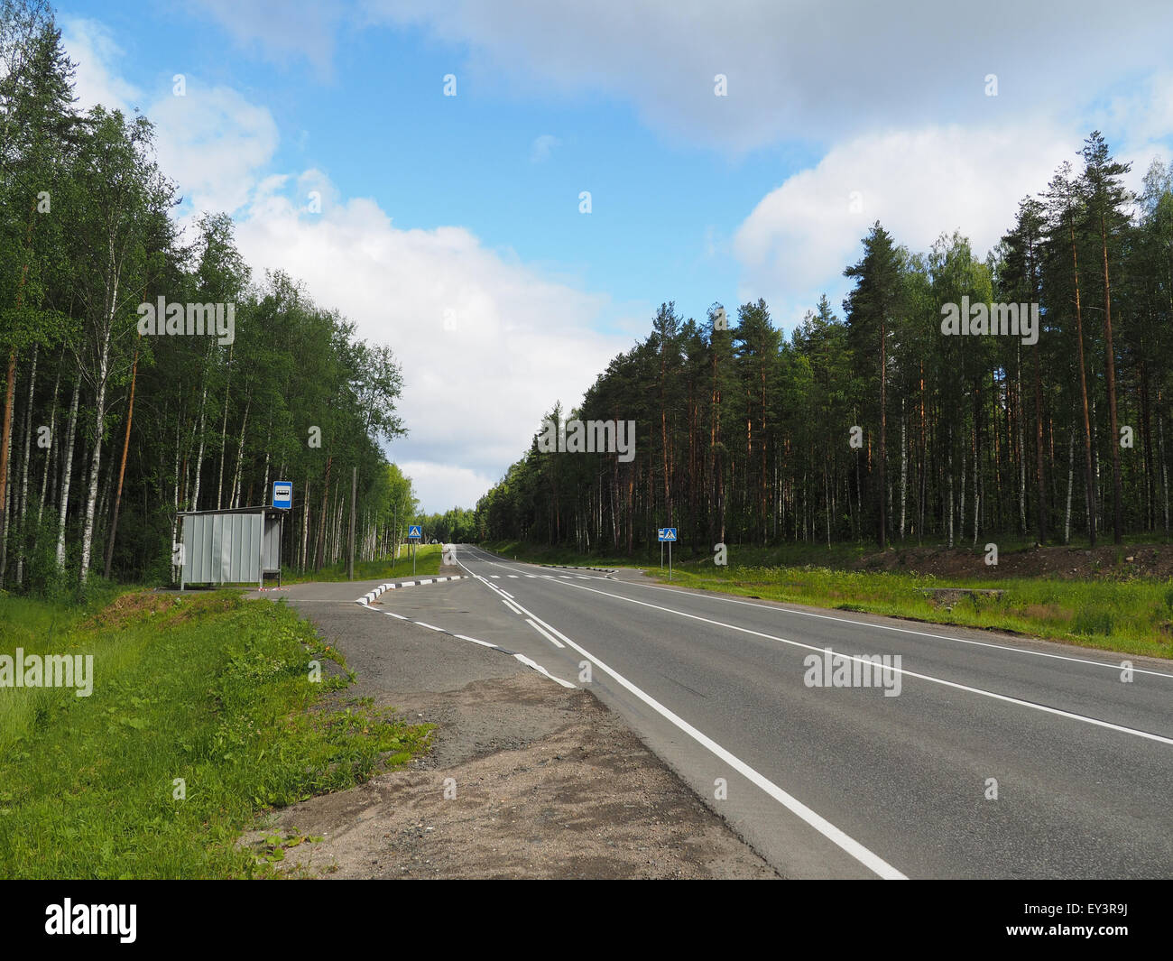bus stop in the forest Stock Photo - Alamy