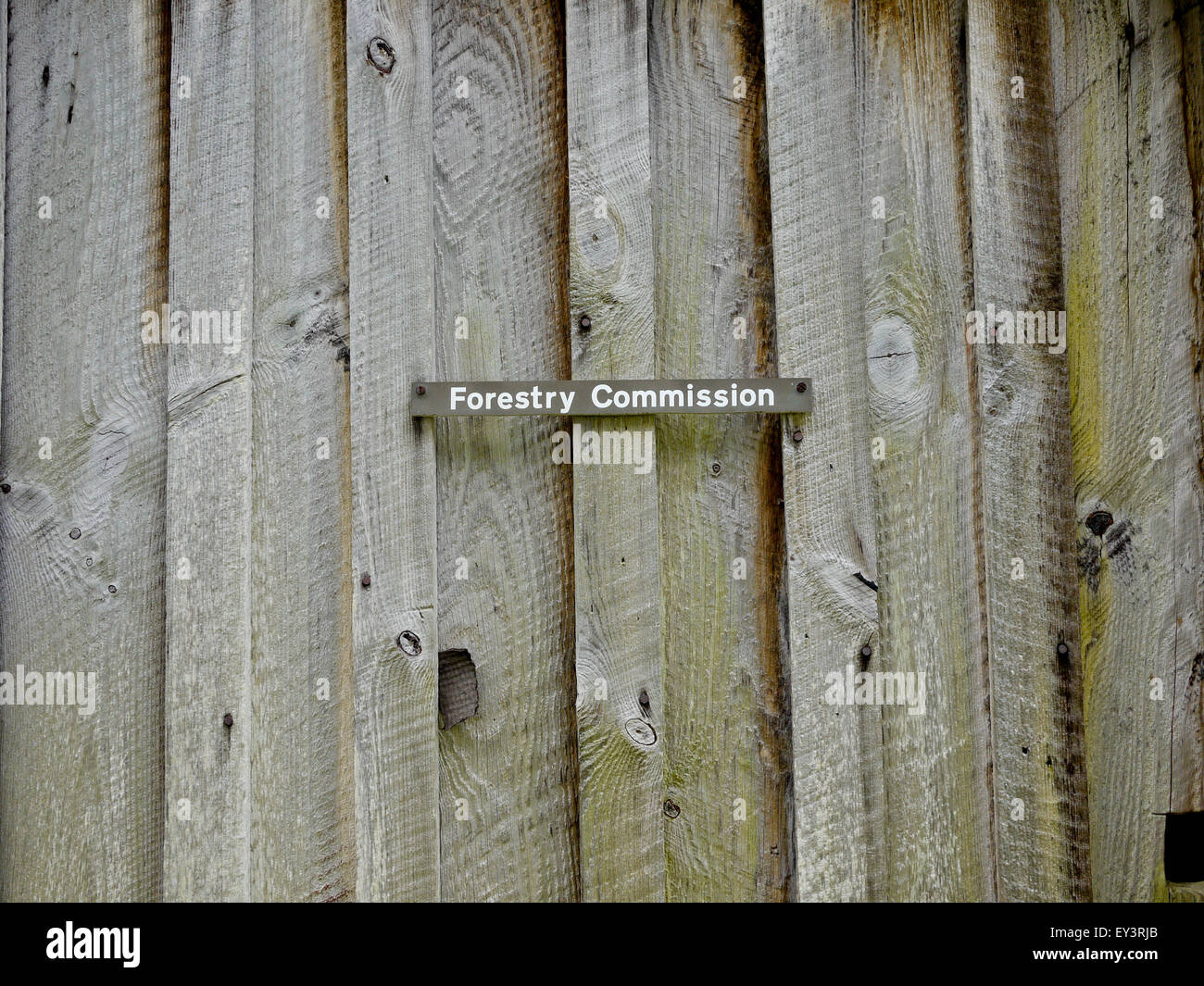 Forestry Commission sign on old door,Scotland,UK Stock Photo - Alamy