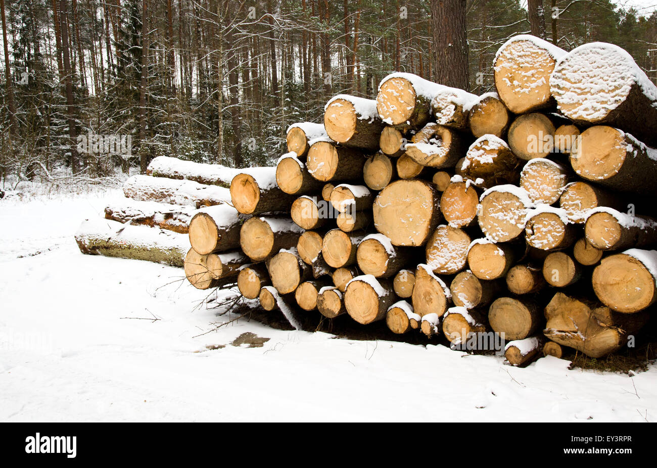 Log holder hi-res stock photography and images - Alamy
