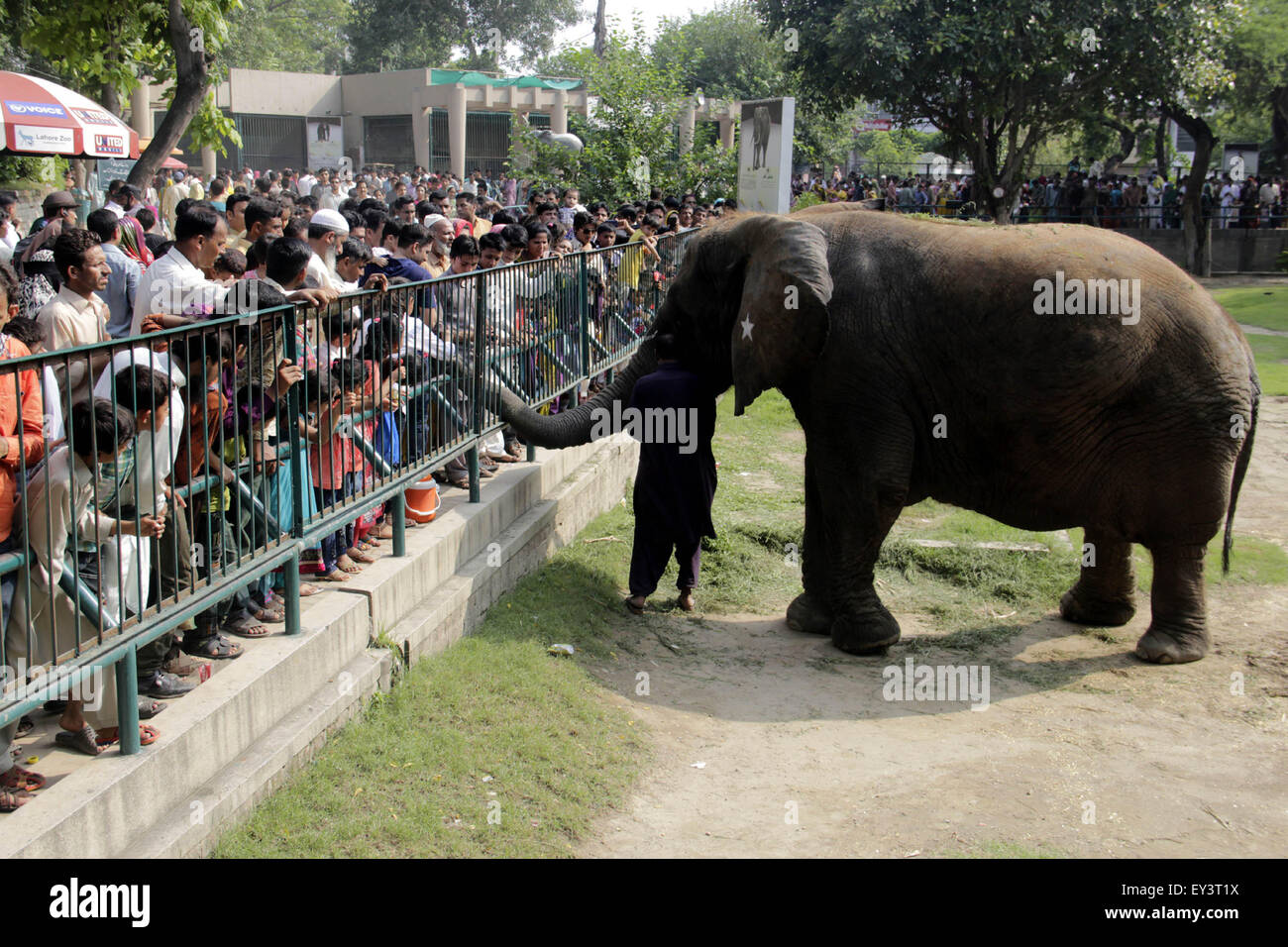 Lahore. 21st July, 2015. Elephant Suzi greets visitors at a zoo during ...
