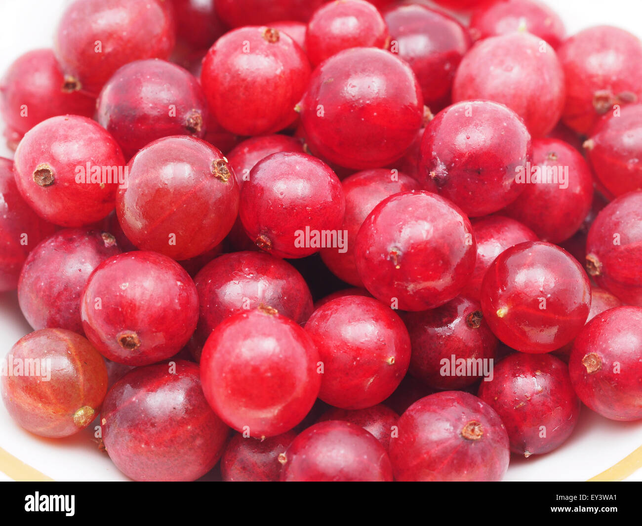 gooseberry on a white background Stock Photo - Alamy