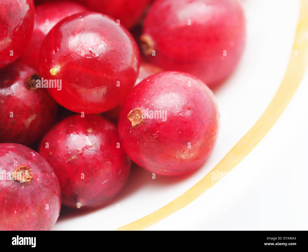 gooseberry on a white background Stock Photo - Alamy