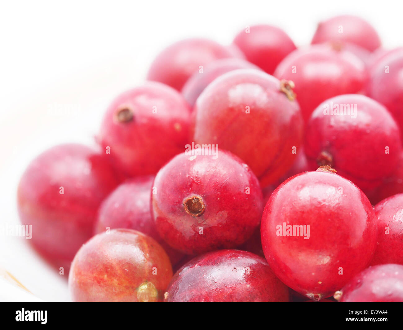 gooseberry on a white background Stock Photo - Alamy
