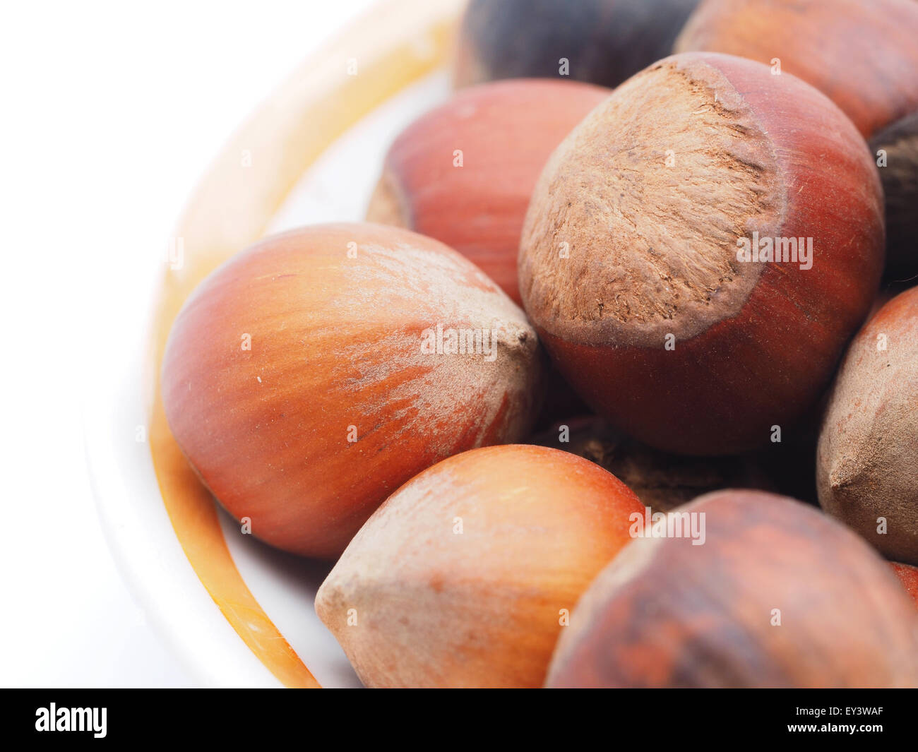 hazelnuts on a white background Stock Photo - Alamy