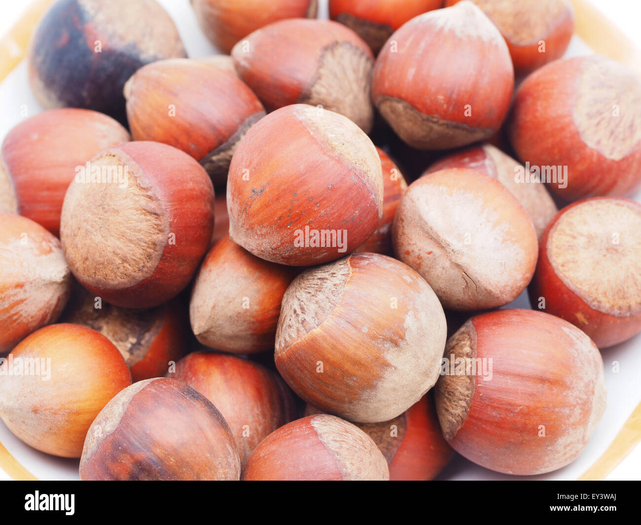 hazelnuts on a white background Stock Photo - Alamy