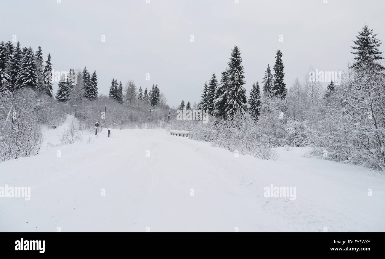 Russian forest in winter Stock Photo - Alamy