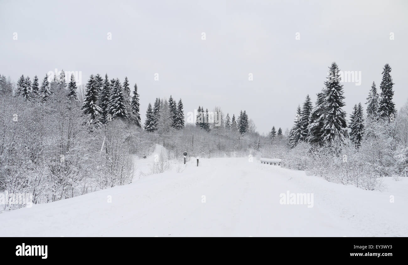 Russian forest in winter Stock Photo - Alamy