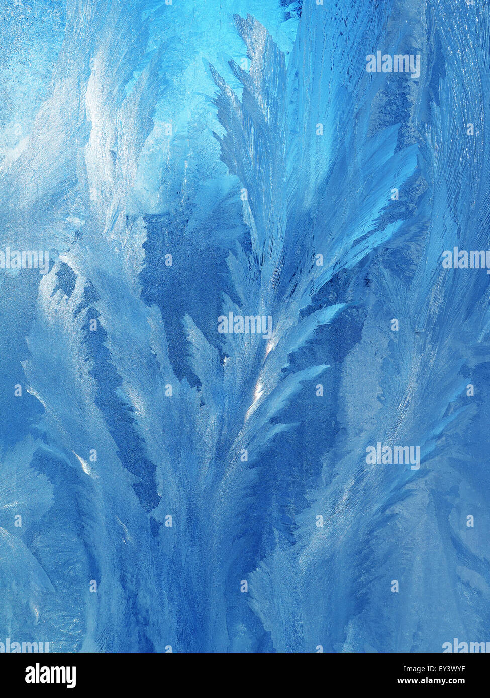 frost patterns on glass Stock Photo - Alamy