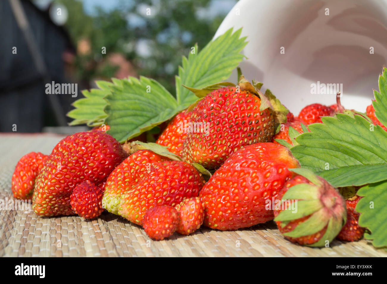 Strawberries red juicy ripe berry hi-res stock photography and images ...