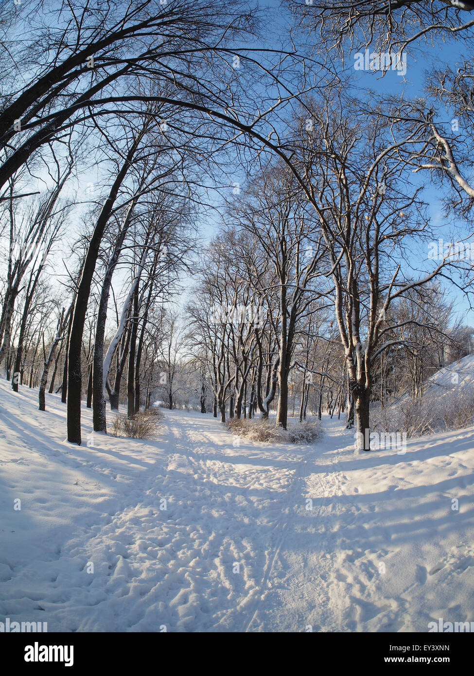 park in winter Stock Photo - Alamy