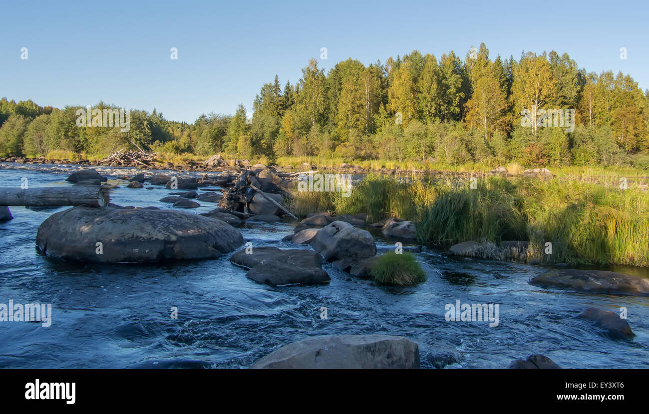 Russian river in summer Stock Photo - Alamy