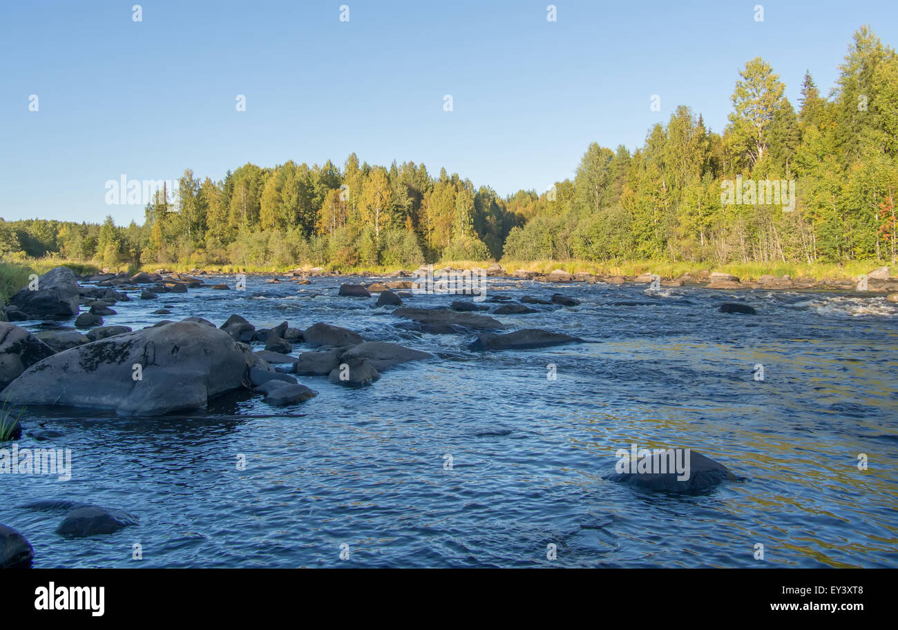 Russian river in summer Stock Photo - Alamy
