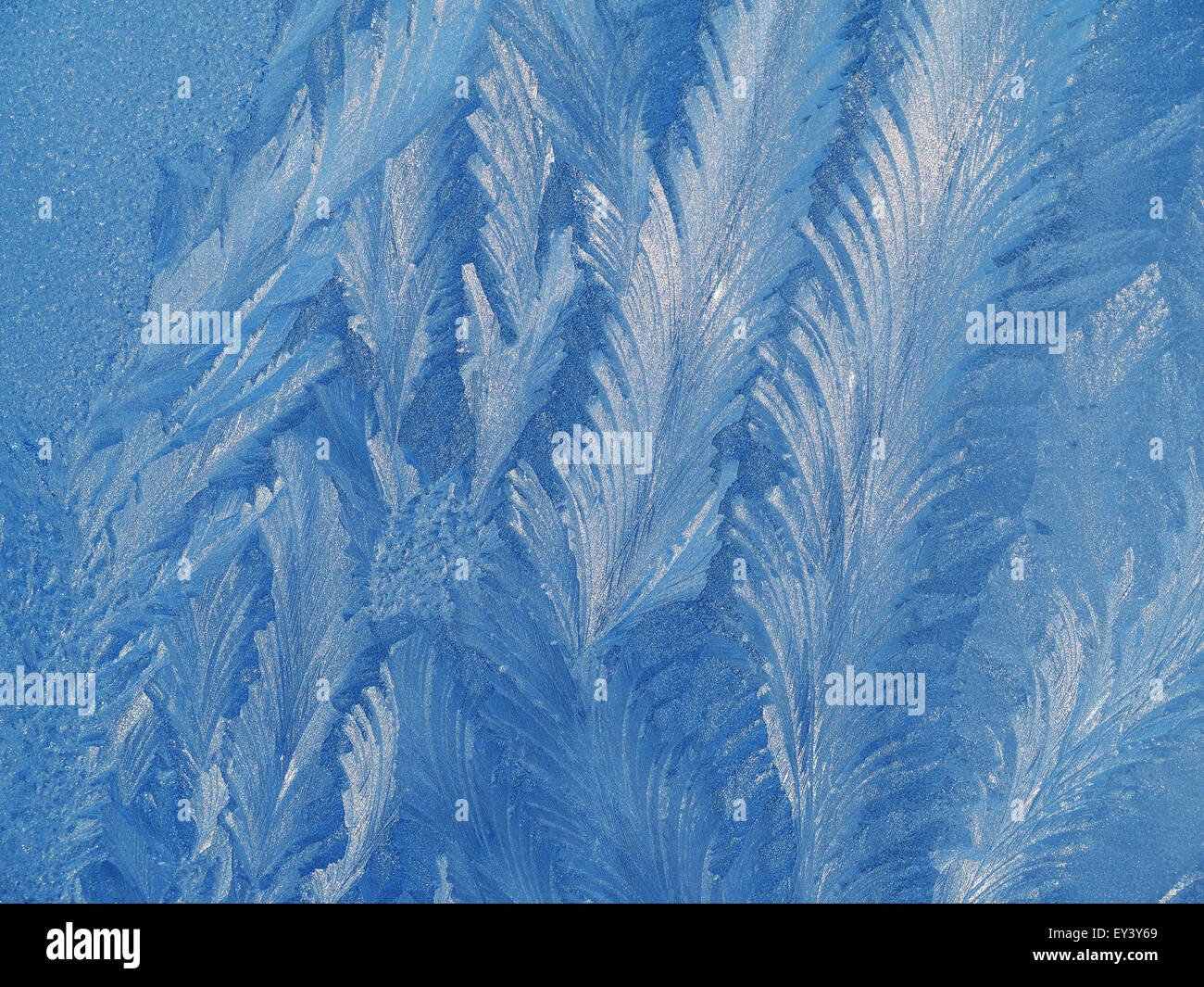 frost patterns on glass Stock Photo - Alamy