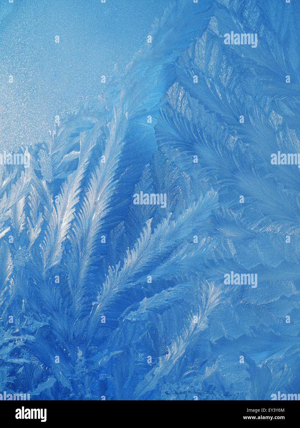 frost patterns on glass Stock Photo - Alamy