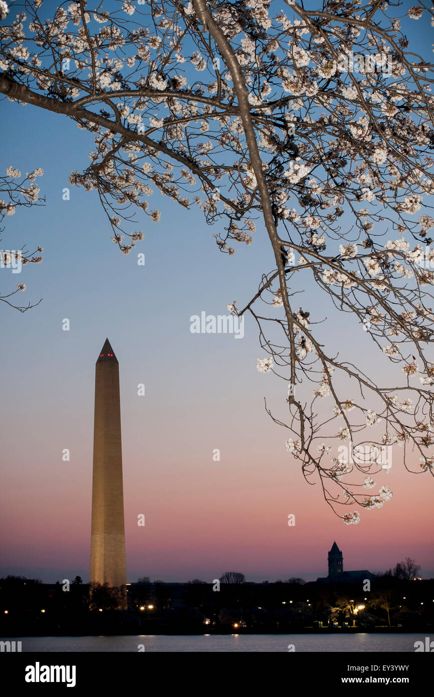 Monument obelisk tree hi-res stock photography and images - Alamy