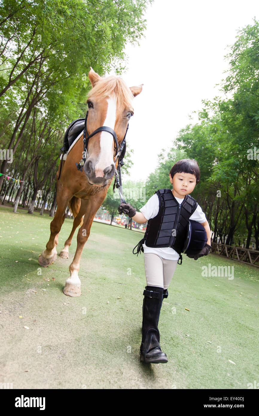 A child leading with a horse walking in the Training field, for ...