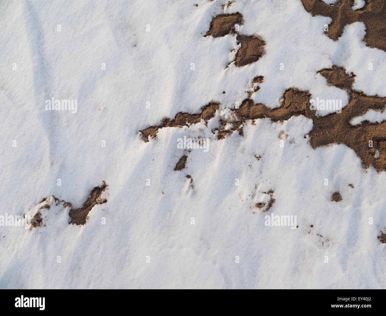 snow and sand Stock Photo - Alamy