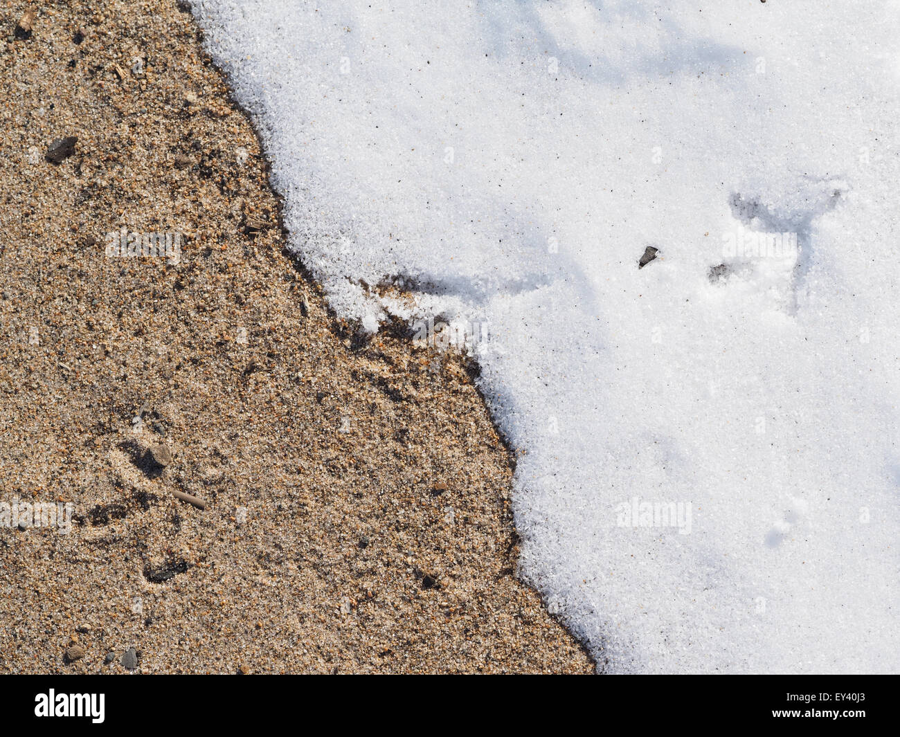 snow and sand Stock Photo - Alamy