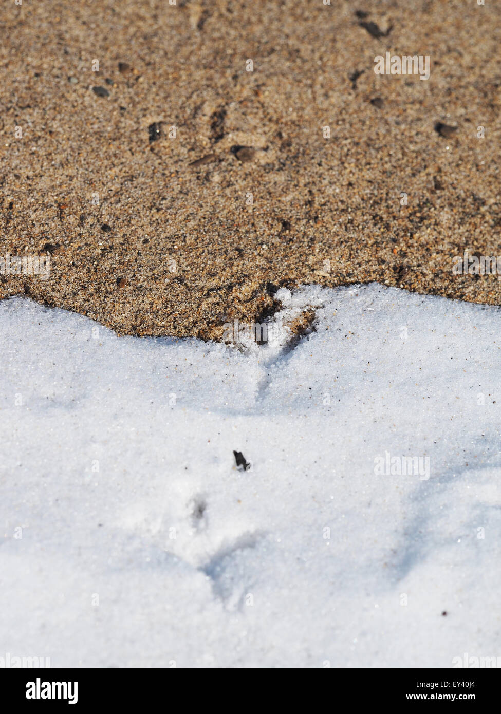snow and sand Stock Photo - Alamy