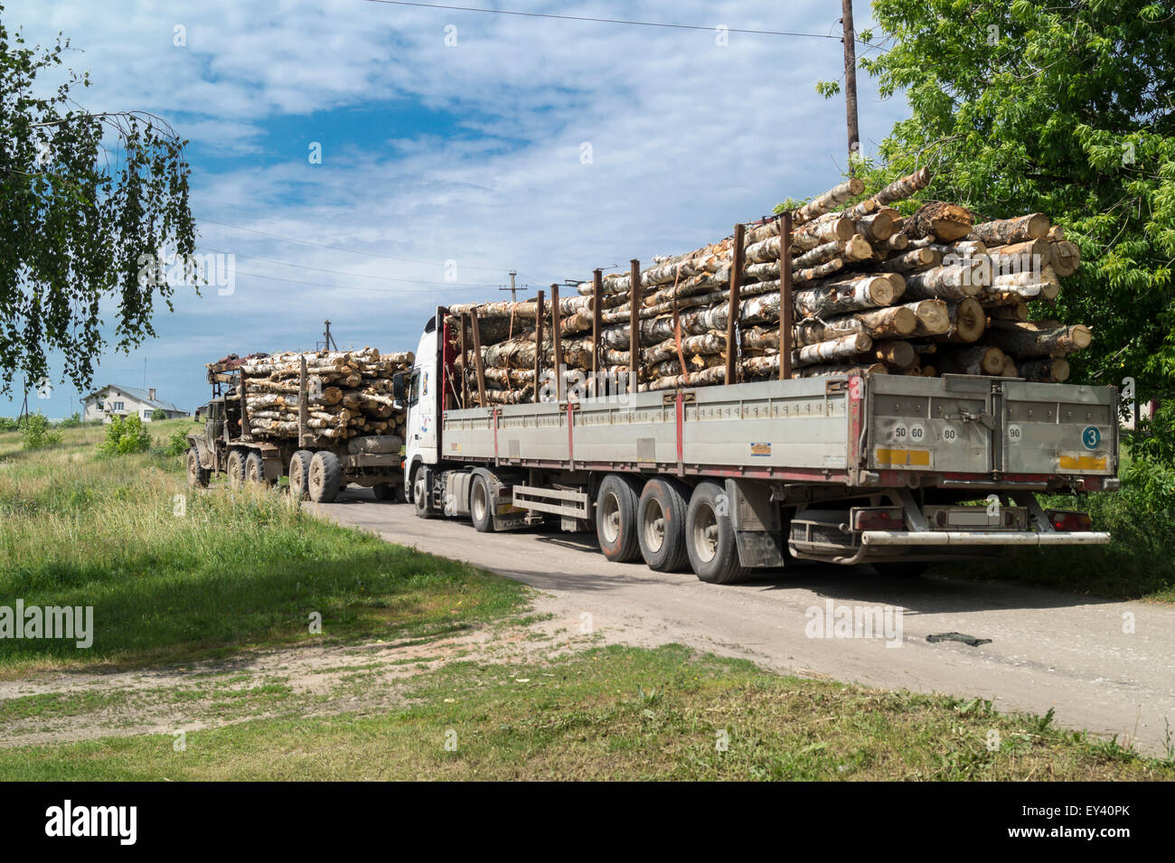 Lorries with log go on rural road Stock Photo - Alamy