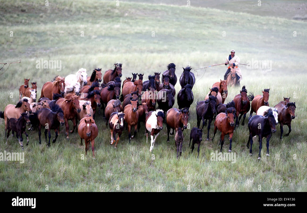 Xilinhot, China's Inner Mongolia Autonomous Region. 21st July, 2015. A ...