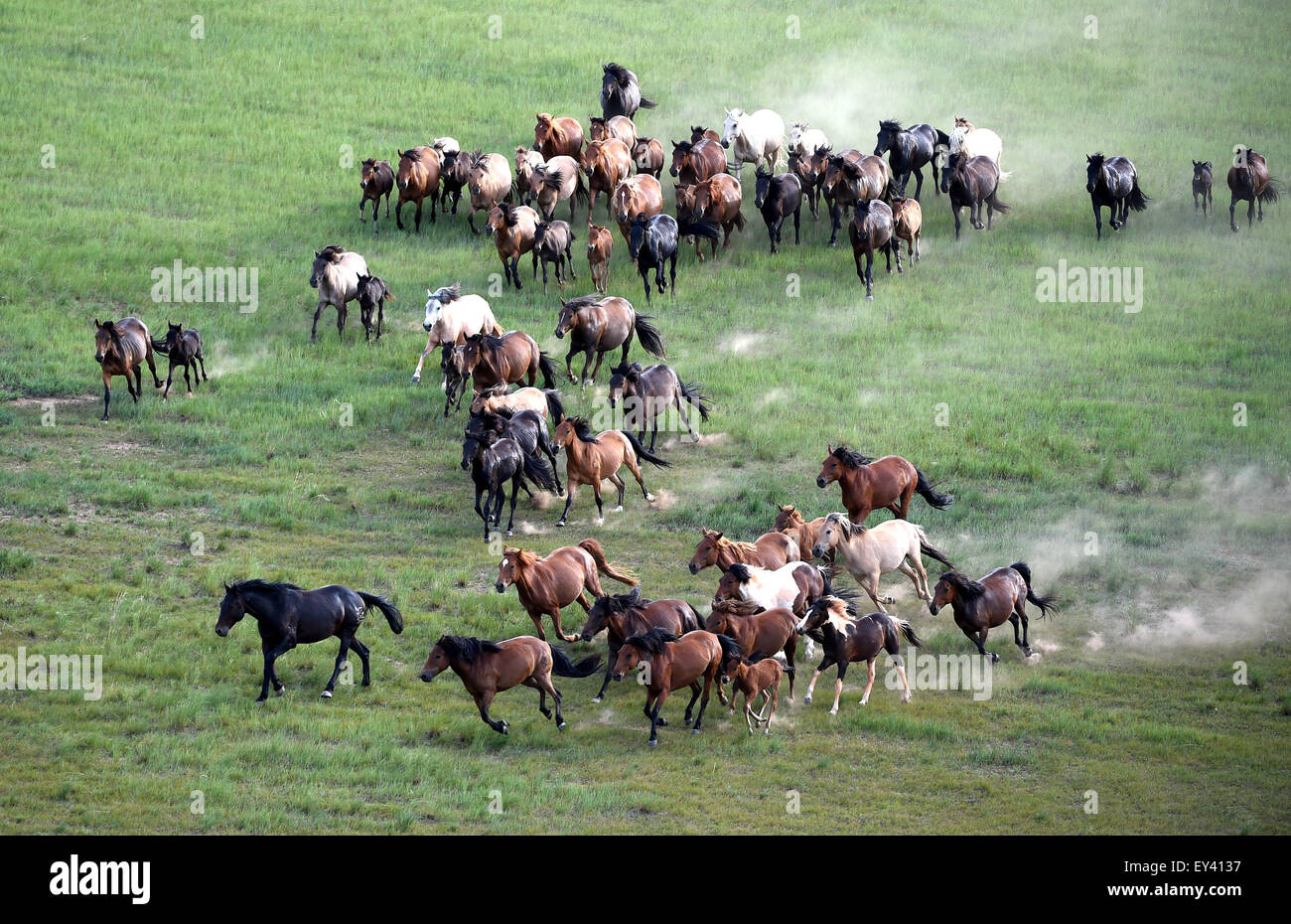 Xilinhot, China's Inner Mongolia Autonomous Region. 21st July, 2015. A ...