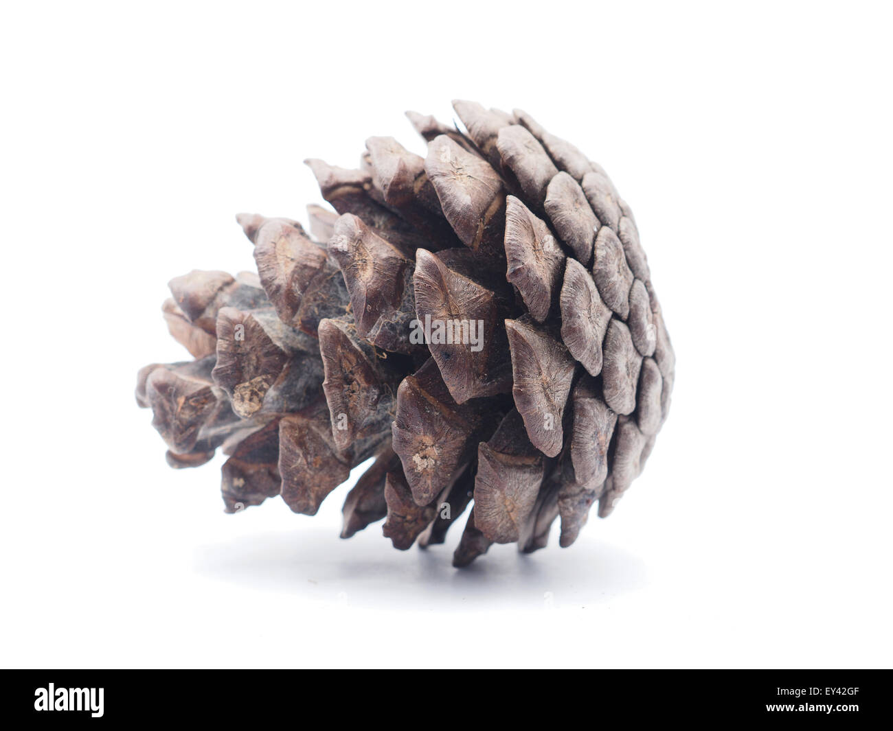 cone on white background Stock Photo - Alamy