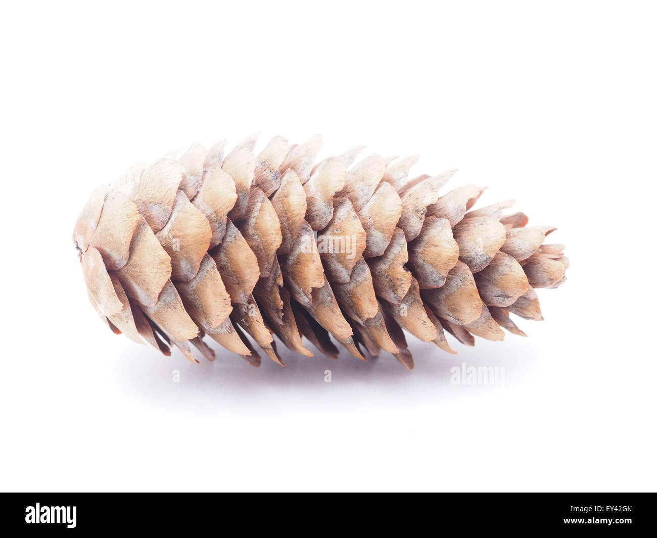 cone on white background Stock Photo - Alamy