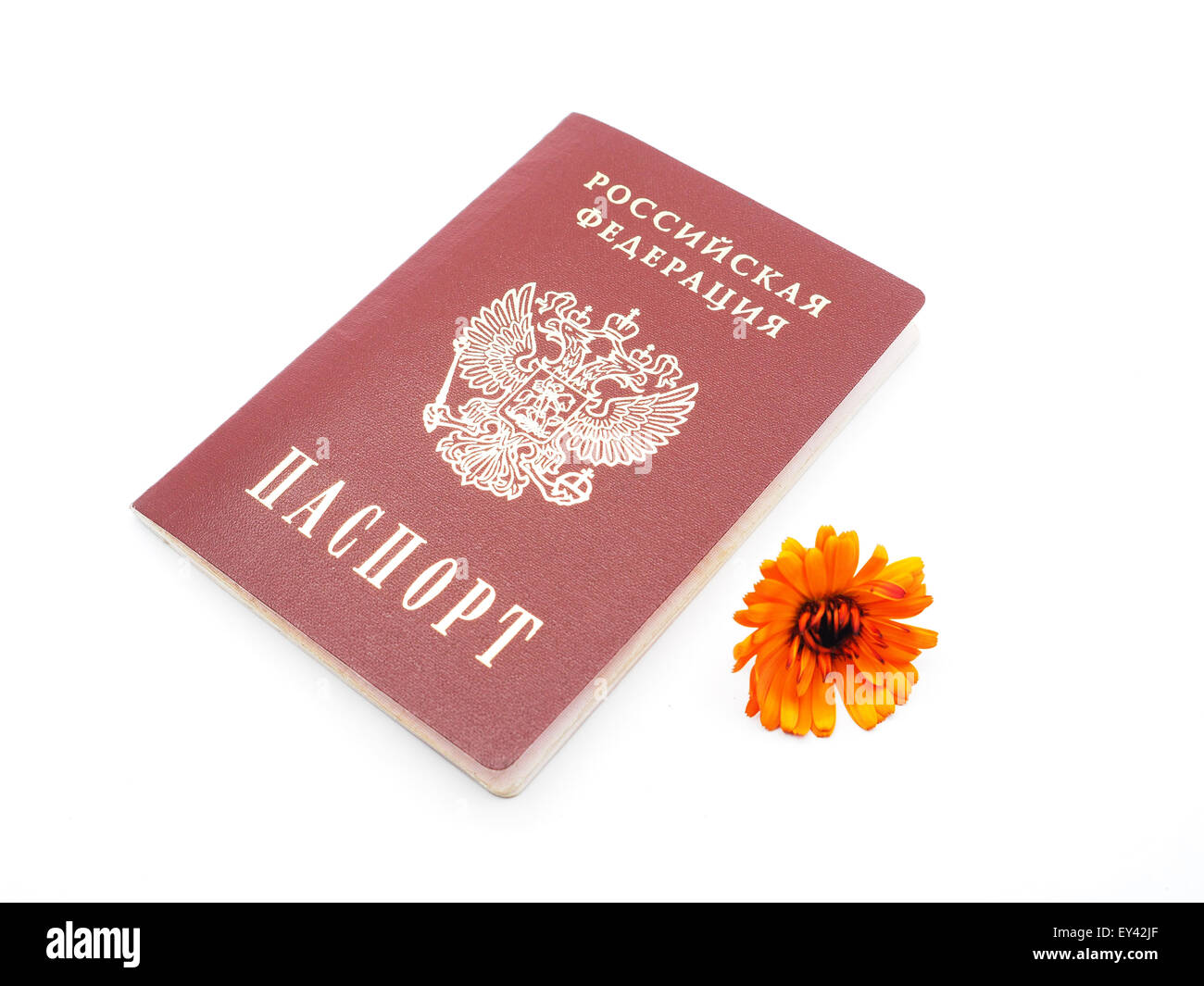 Russian Id Card Hi Res Stock Photography And Images Alamy - Printable Cards