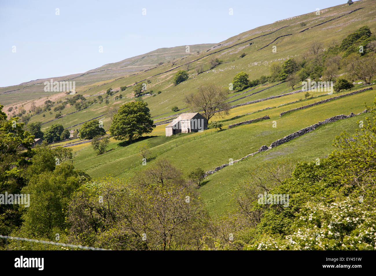 Attractive countryside in Langstrothdale, Yorkshire Dales national park ...