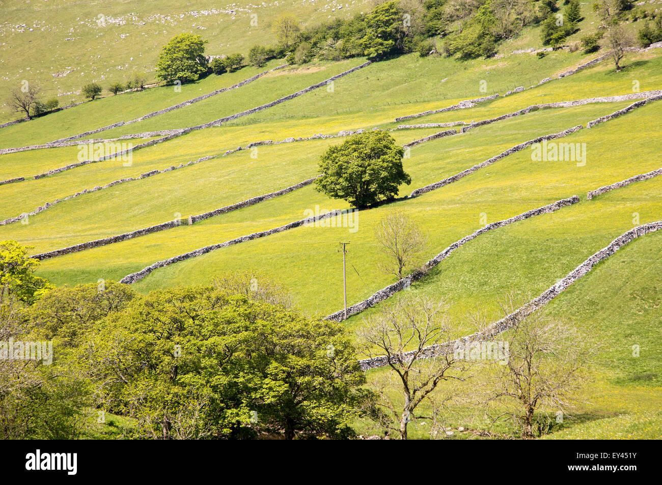 Attractive countryside in Langstrothdale, Yorkshire Dales national park ...