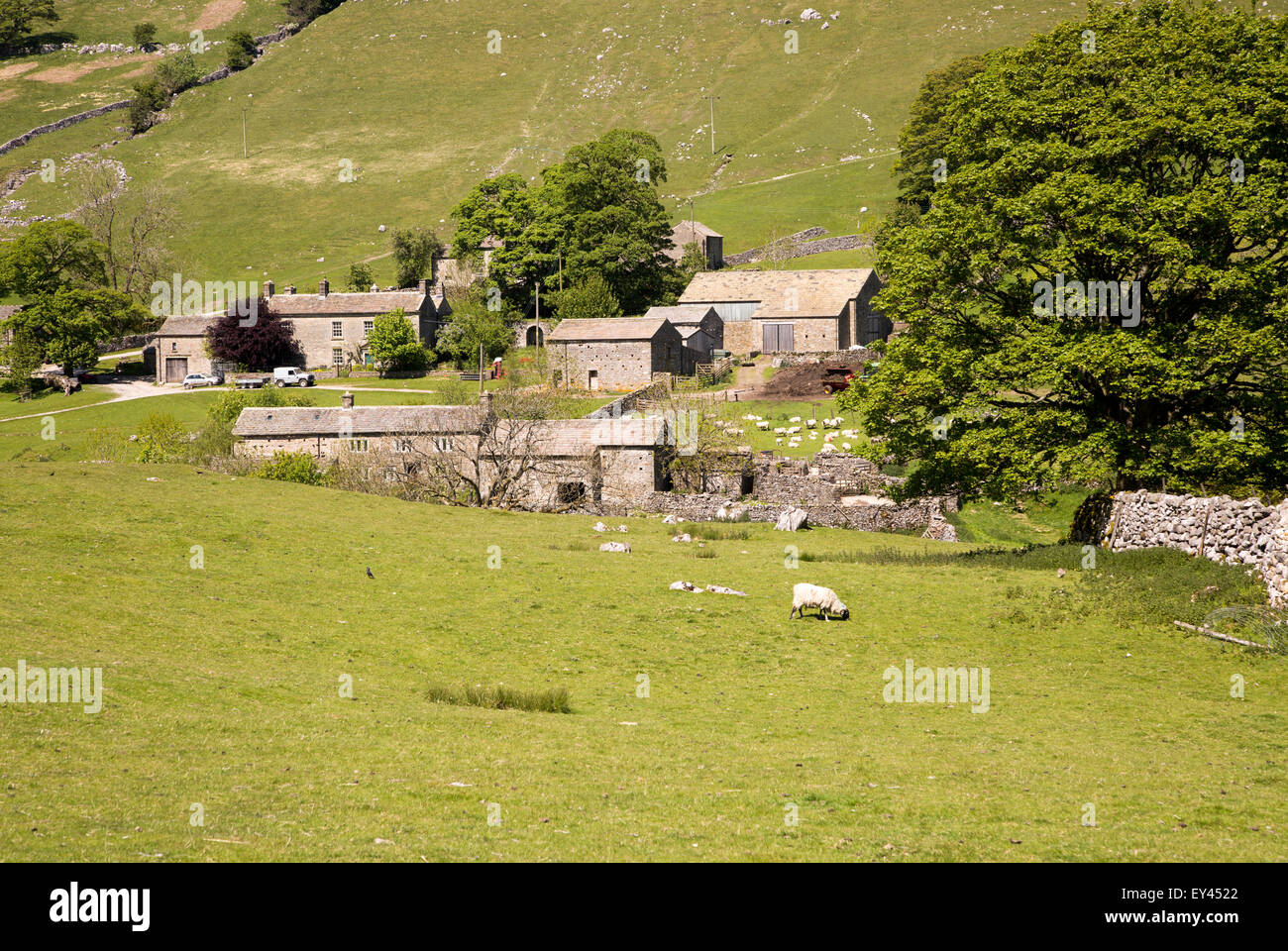 Attractive farm buildings at Deepdale, in Langstrothdale, Yorkshire ...