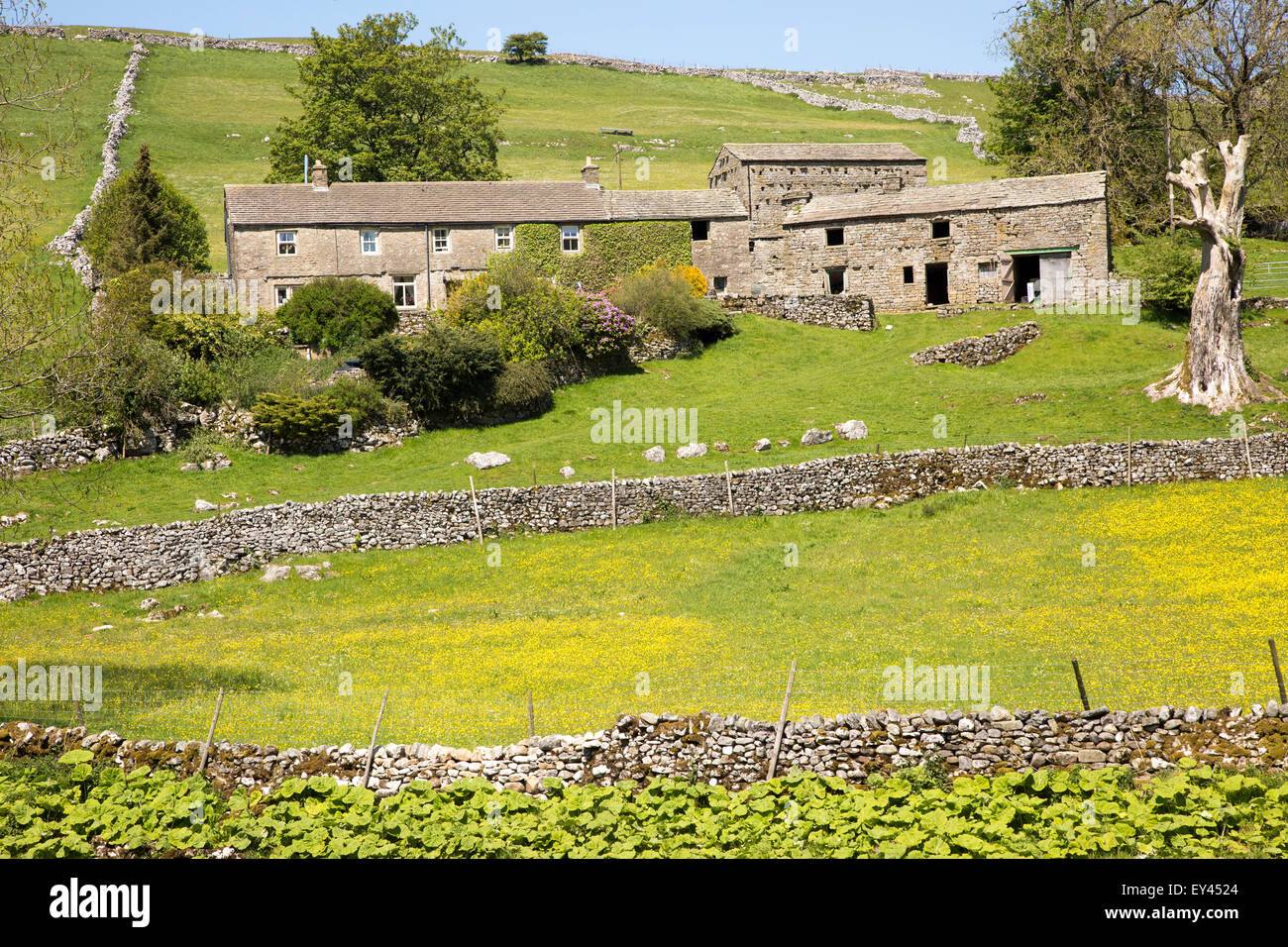 Attractive farm buildings at Deepdale, in Langstrothdale, Yorkshire ...